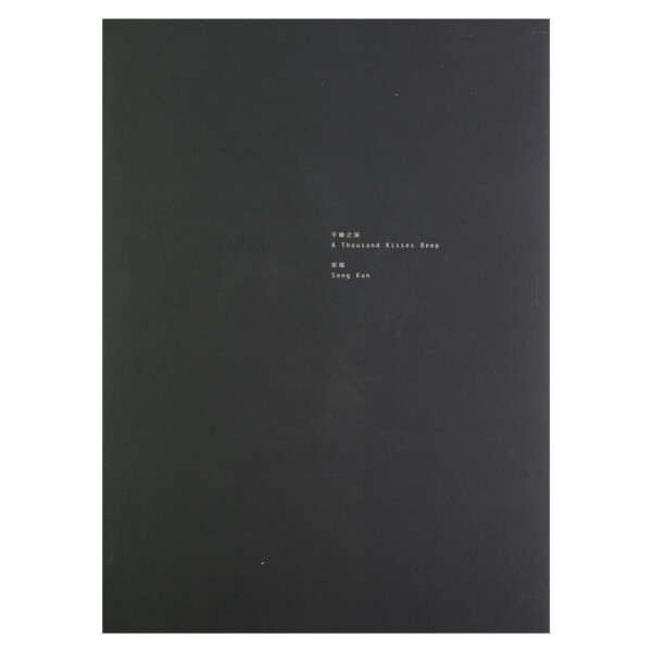 Song Kun: A Thousand Kisses Deep | UCCA Center for Contemporary Art